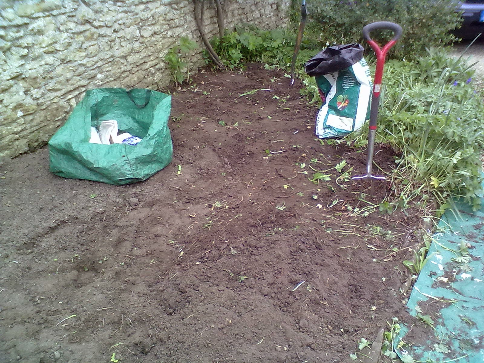 Rachel the Gardener: How to: remove Ground Elder.