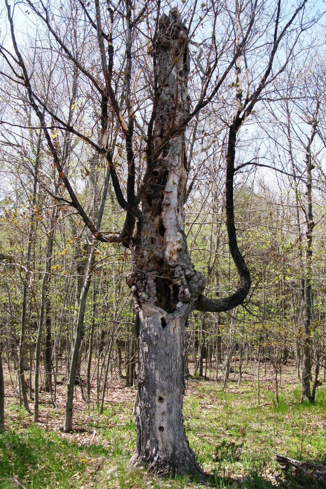 Meandering...: A Few Favorite Things...