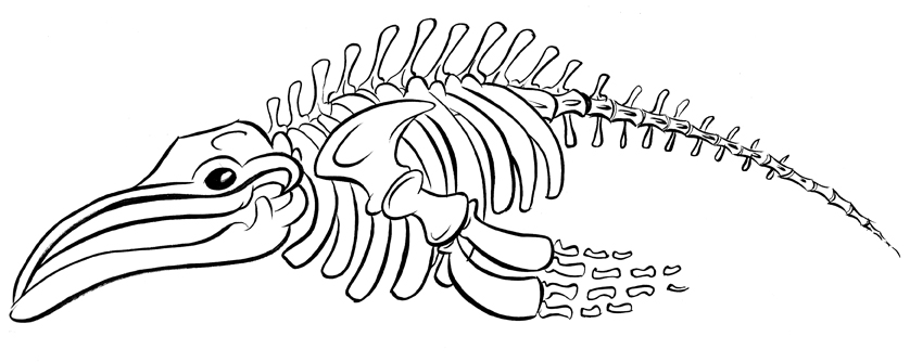 Cold Ramen: Whale Skeletons