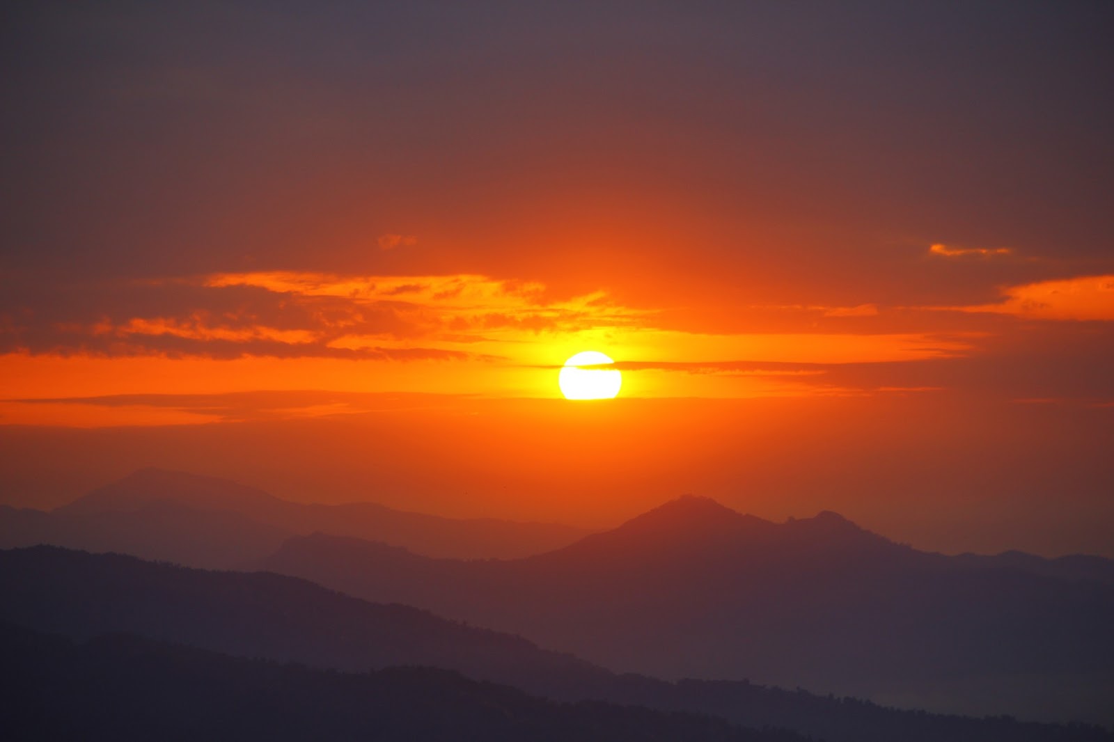 SHARE TWEET TELEGRAM WHATSAPP PIN IT SHARE