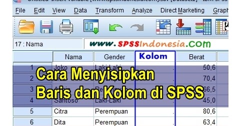 Cara Menambahkan Menyisipkan Baris dan Kolom Baru di SPSS Lengkap ...