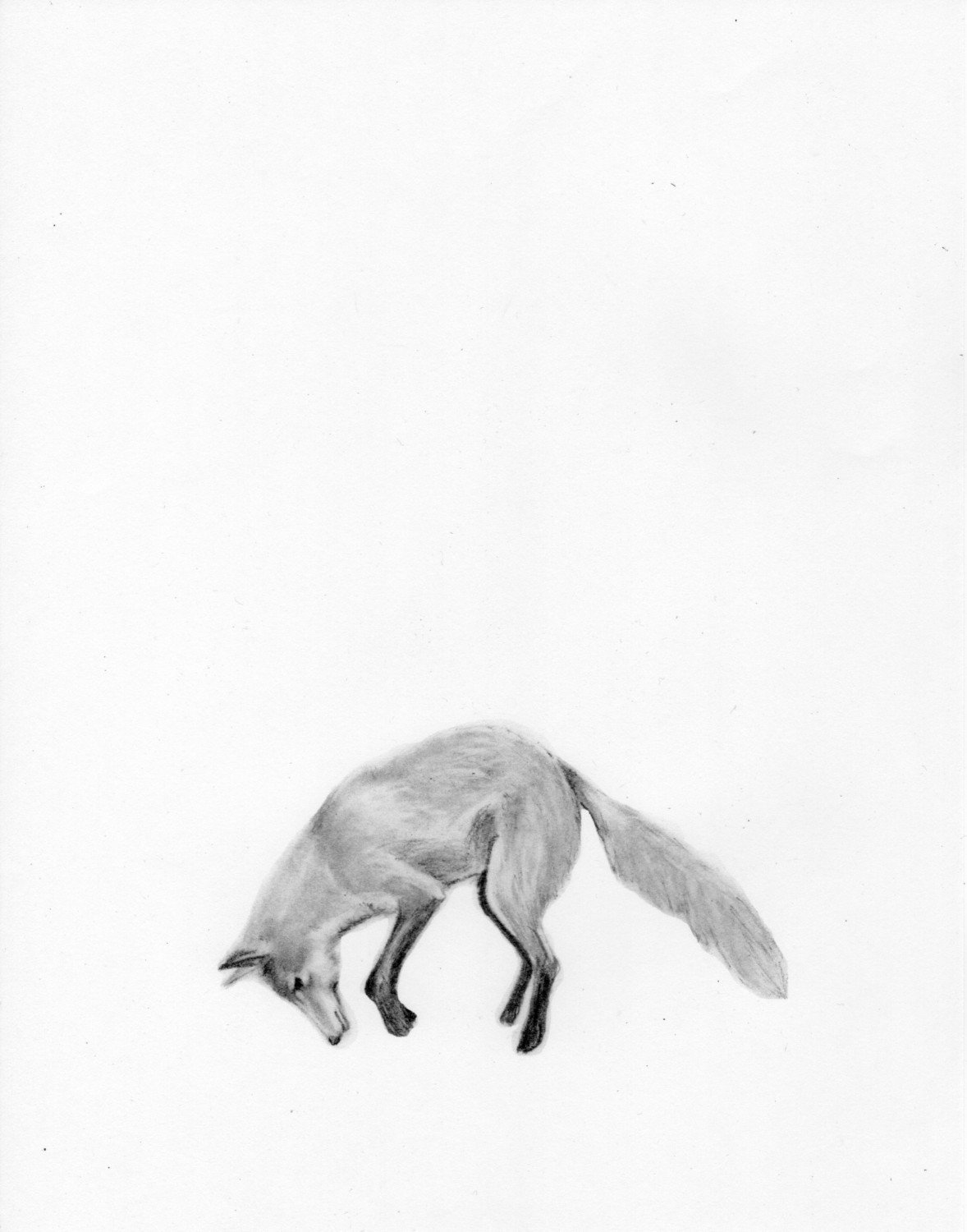 Vulpes (Diary): Leaping Fox
