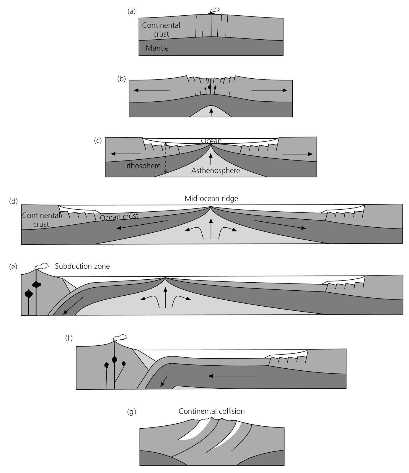 GTVRG TSUNAMI DISASTER 2004 DATABASE: WILSON CYCLE