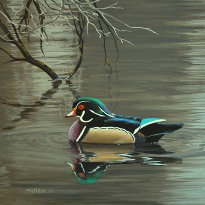 The Art of Peter Mathios: Wood Duck Waters 5" X 5" acrylic