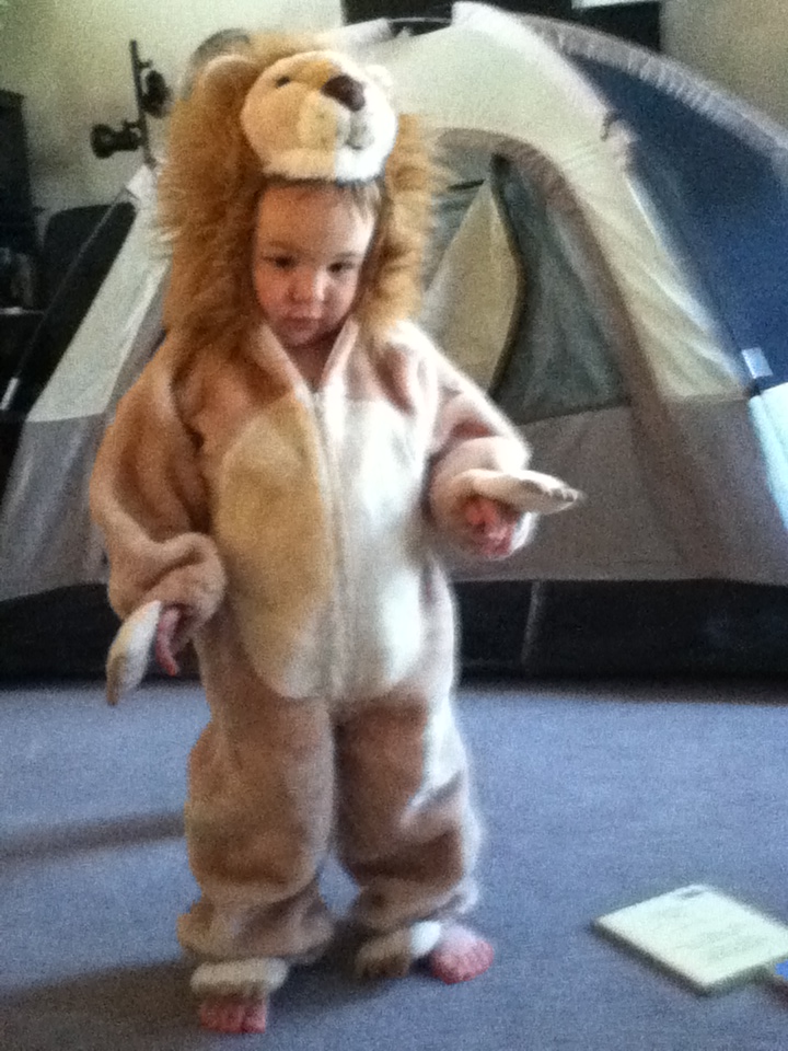 The Baker Bustle: Happy Birthday America!