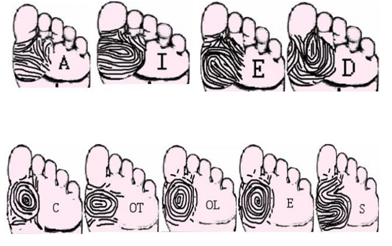 PELMATOSCOPIA Y QUIROSCOPIA