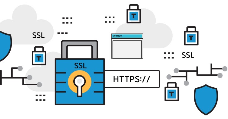 The rise of SSL traffic and enterprise- level of SSL security
