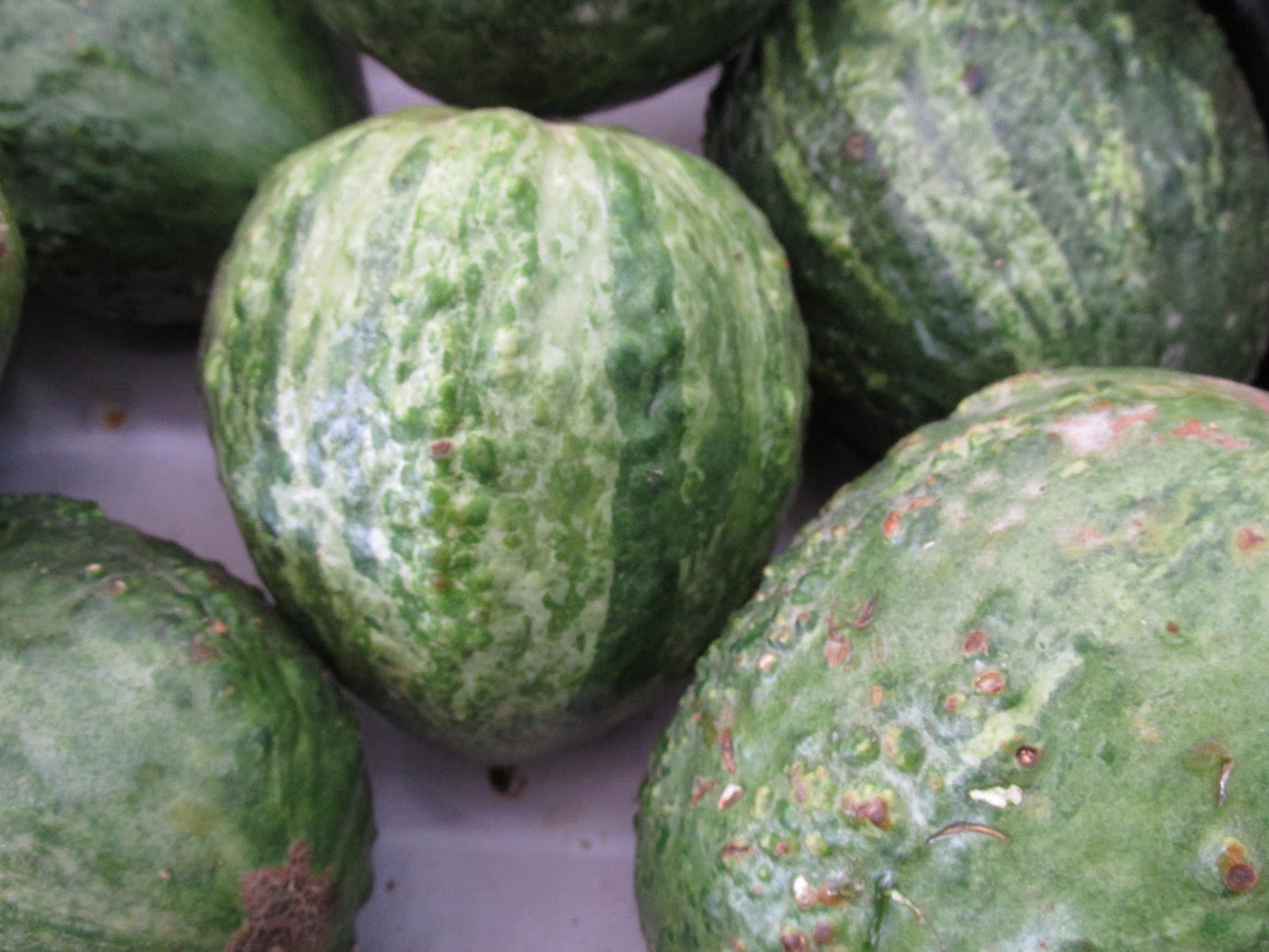 .: O caxi e seu preparo