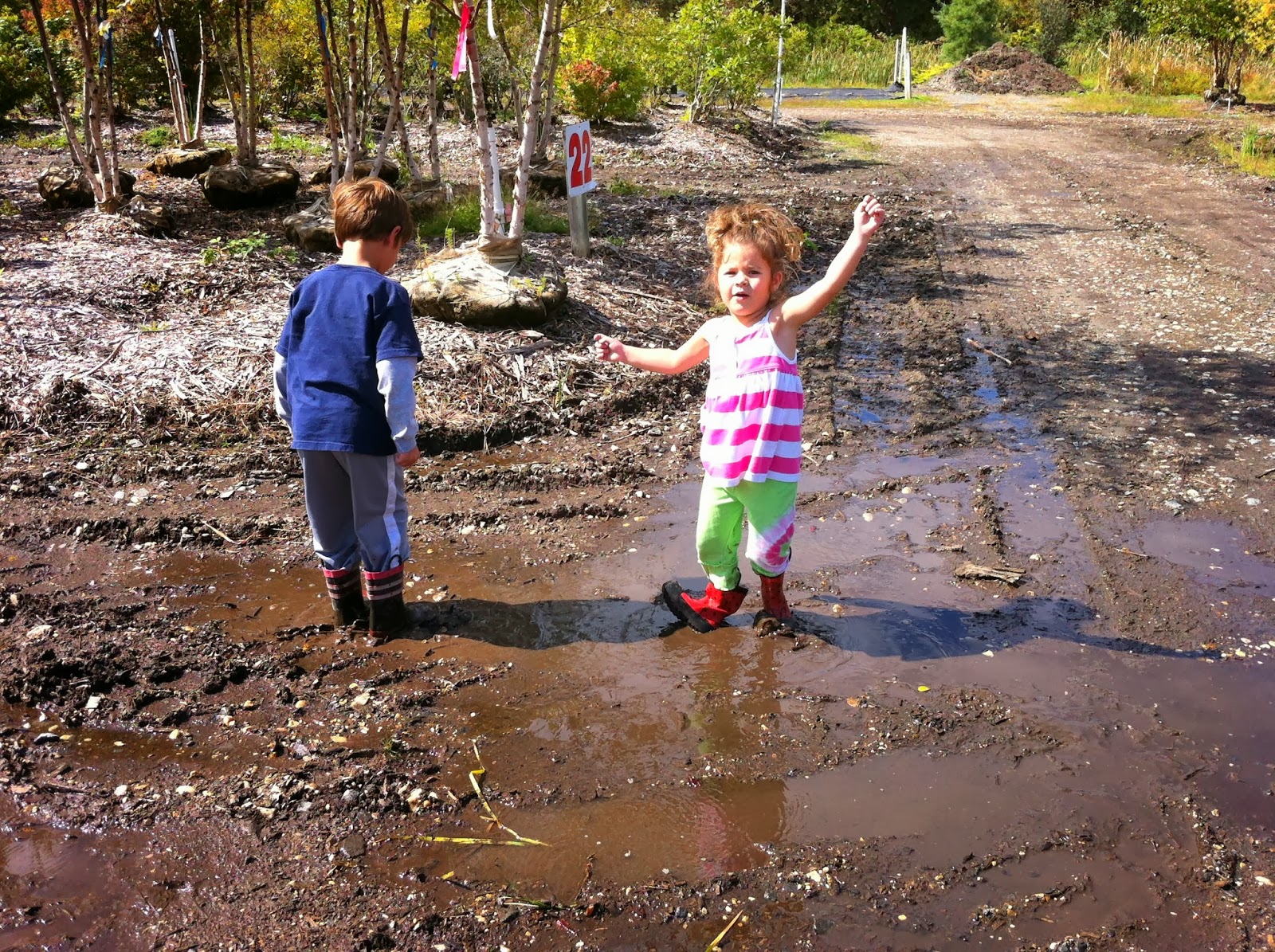 The Luhring Life: The Funnest Place Ever