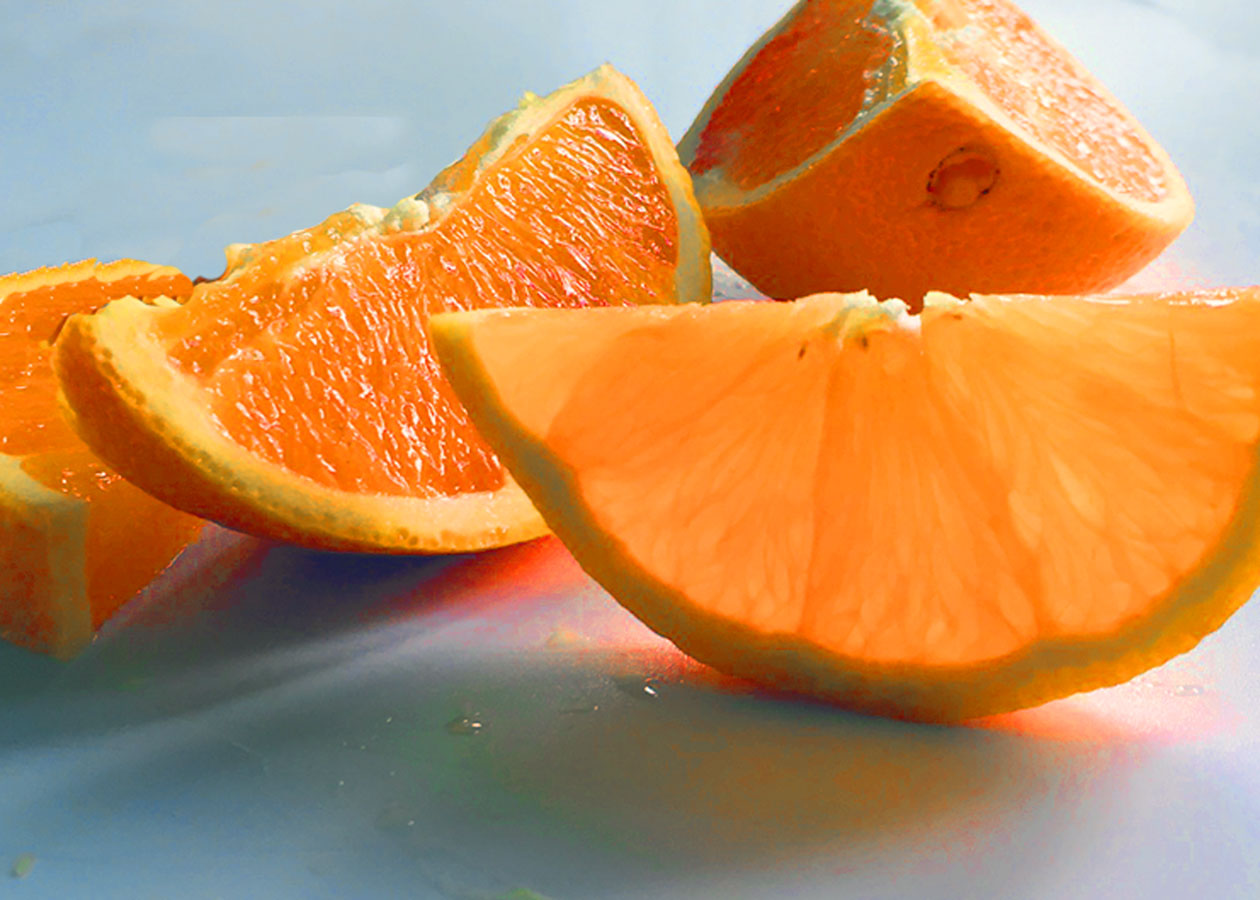 Barbara Newton Art Journal: Paint Along with Me - Orange Slices - Day One