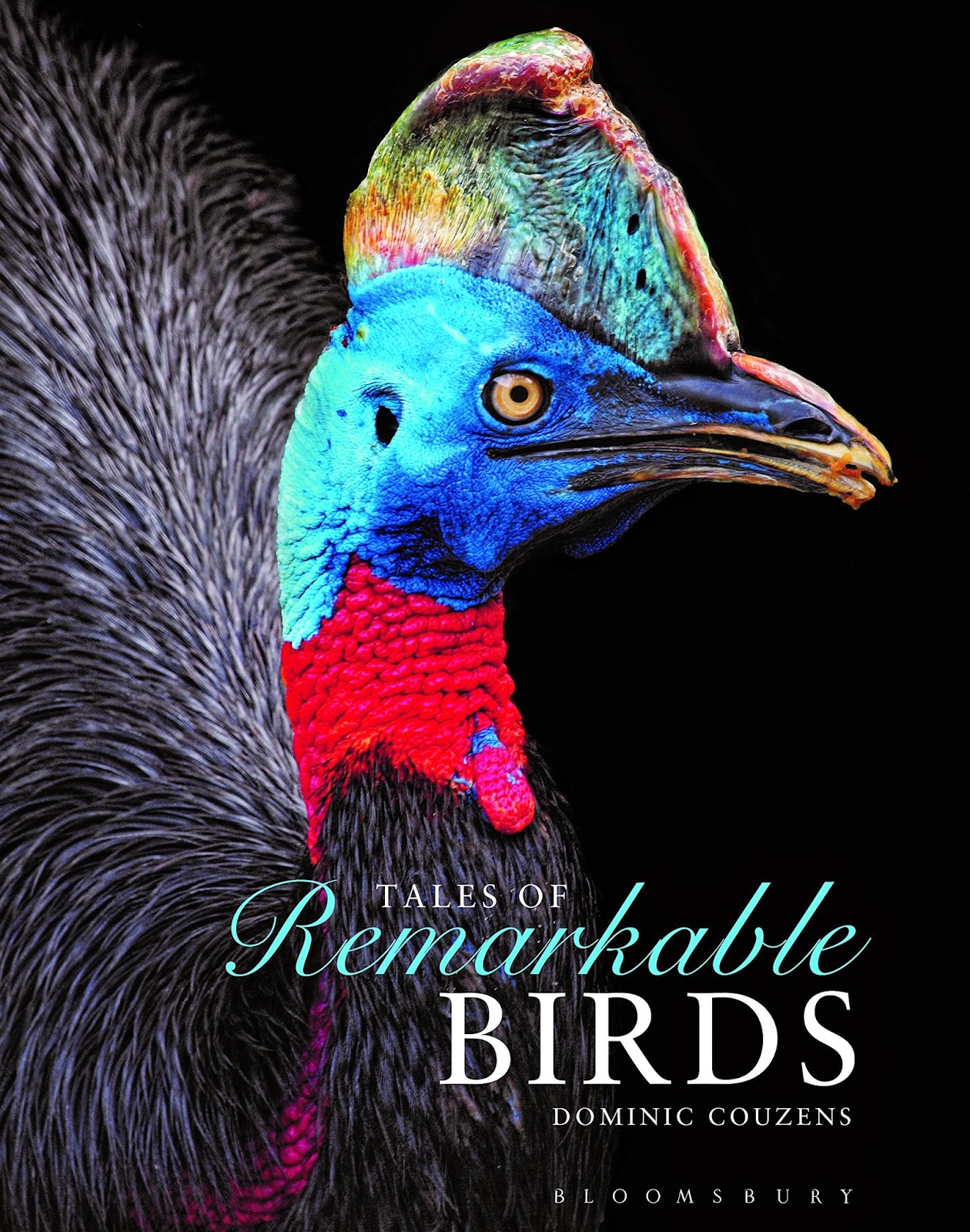 Hipster Birders: Review: Tales of Remarkable Birds