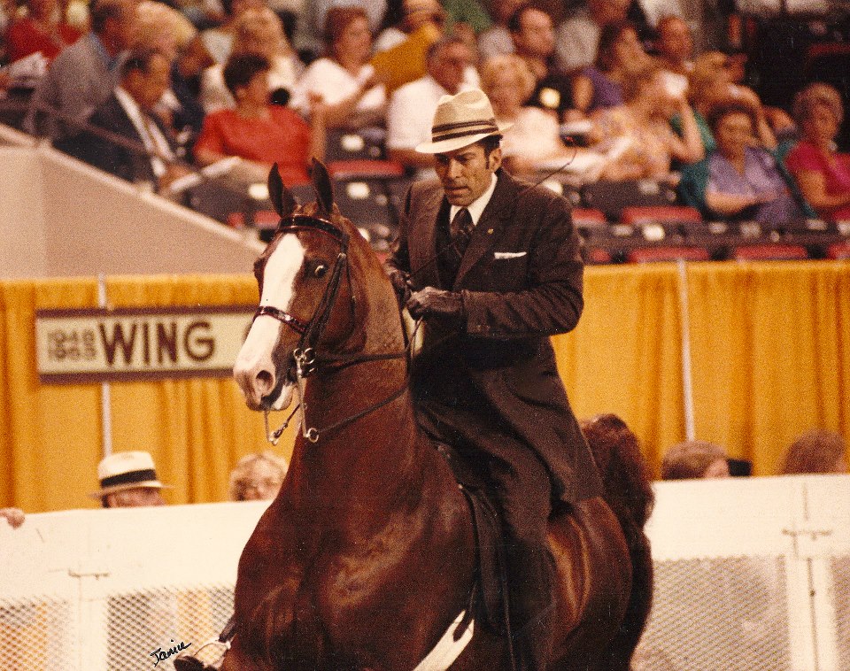 The American Saddlebred: Will Shriver's stallion sons