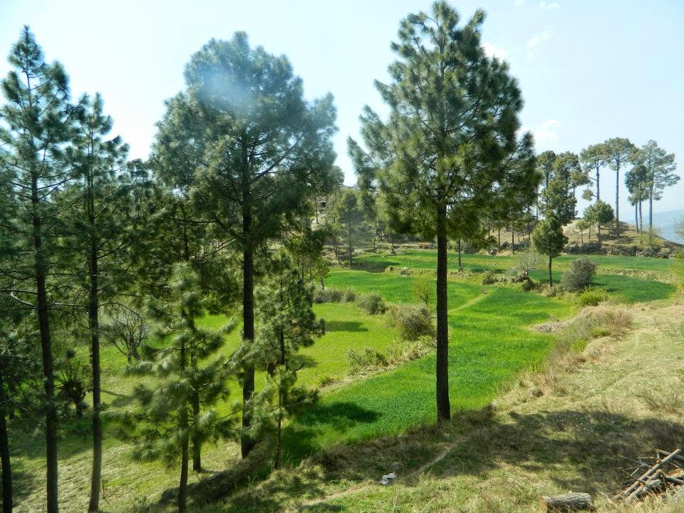 ExploreEPakistan: Panjpir Rocks, Kotli Sattian