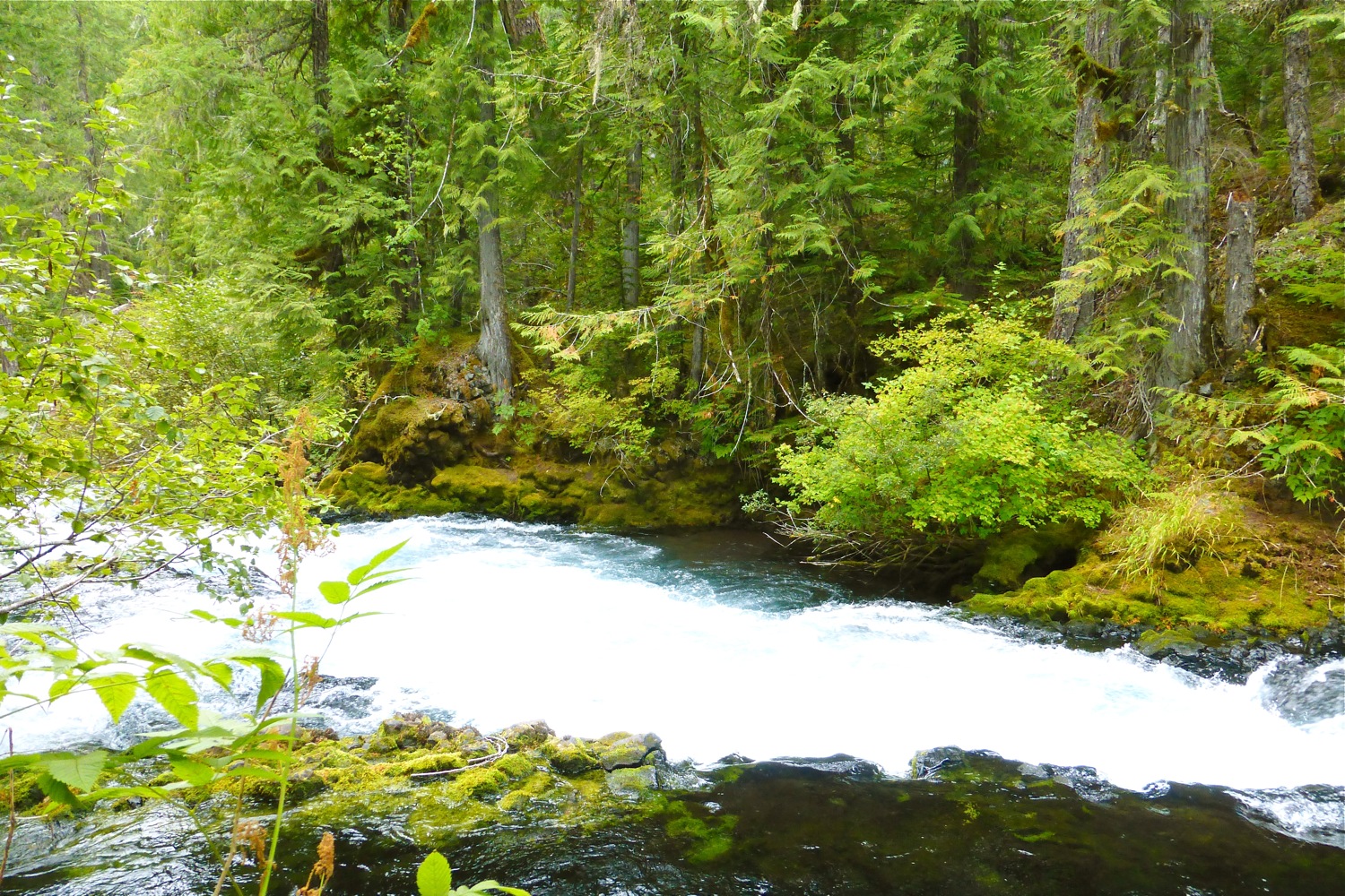 Sahalie and Koosah Falls | Under The Plum Blossom Tree