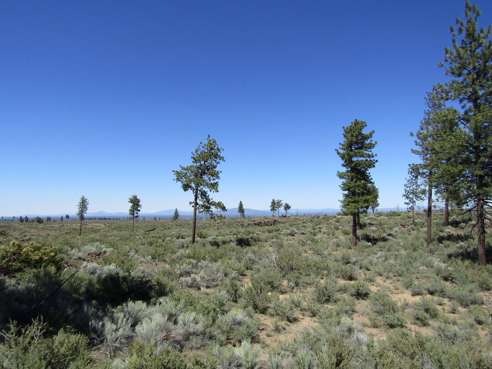 Holly's Horse Tales and Trails: Boyd Cave to Swamp Wells Horse Camp, Oregon