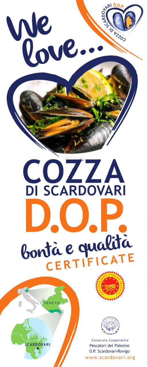 POLESINE AZZURRA: A SCARDOVARI SI ALLEVANO LE "UNICHE" COZZE CON IL ...