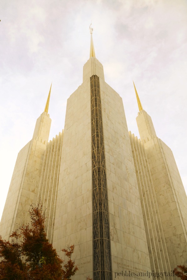 Lisa Jorgensen Photography | Making Life Blissful