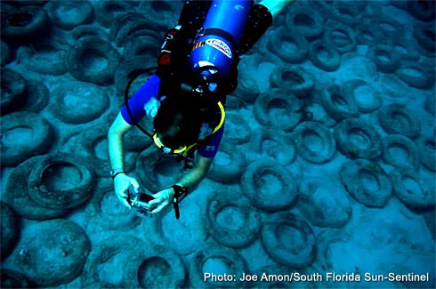 RTSea Blog: observations on oceans, sharks and nature: Florida's Tire ...
