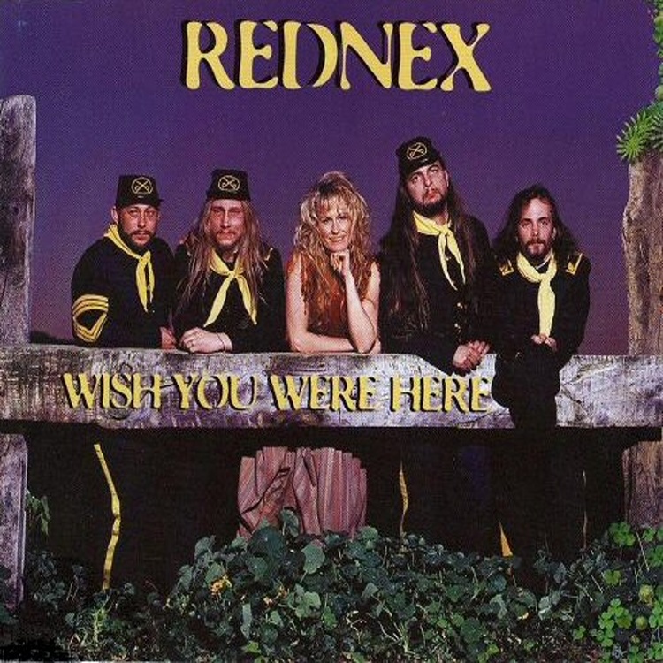STUDIO mp3 hits: wish you were here - REDNEX