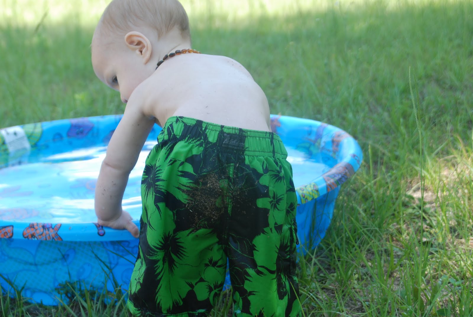 The Green Traveler: Simple Sunscreen Solutions and why you need them.