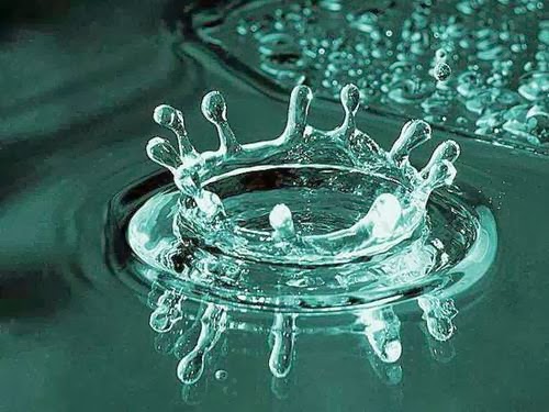 Los liquidos y sus propiedades.: 2014