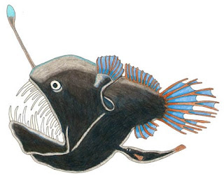 Pez Linterna Cornudo