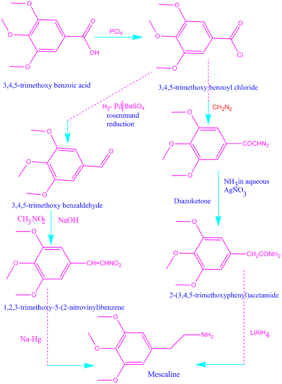 What is mescaline ? - PG.CHEMEASY