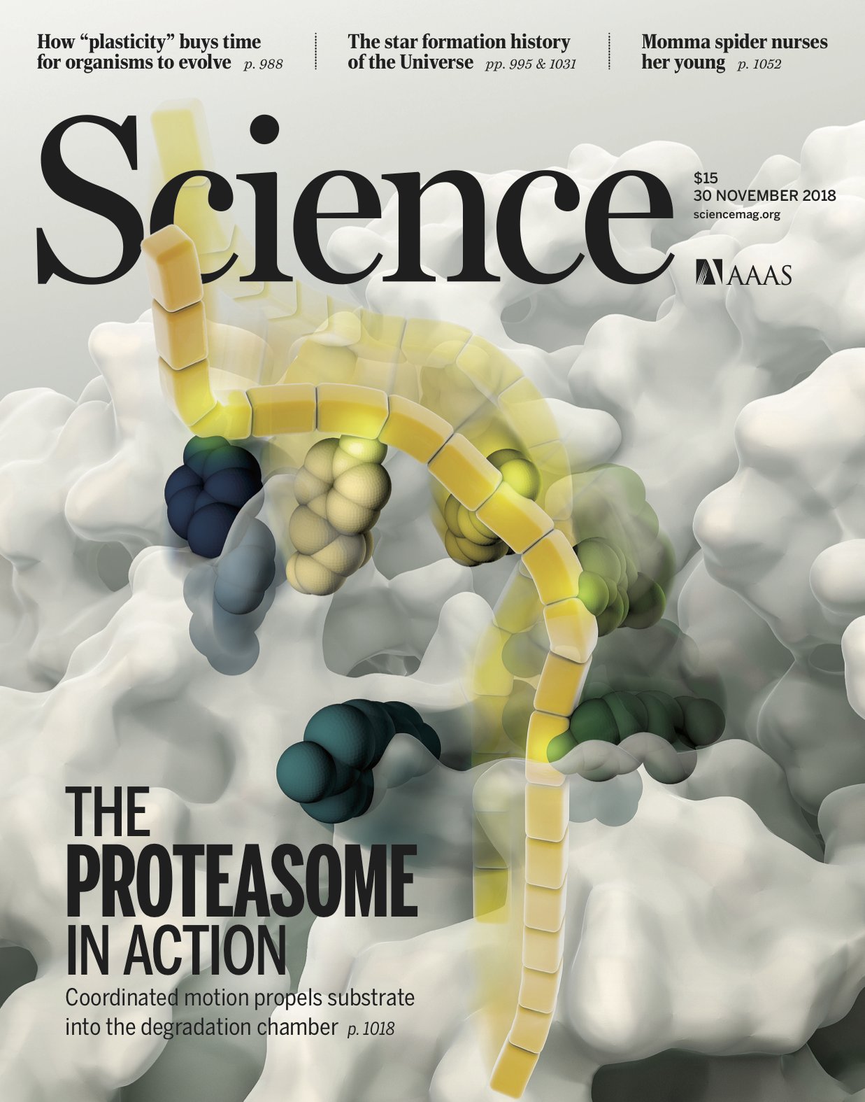 Revistas Cientificas