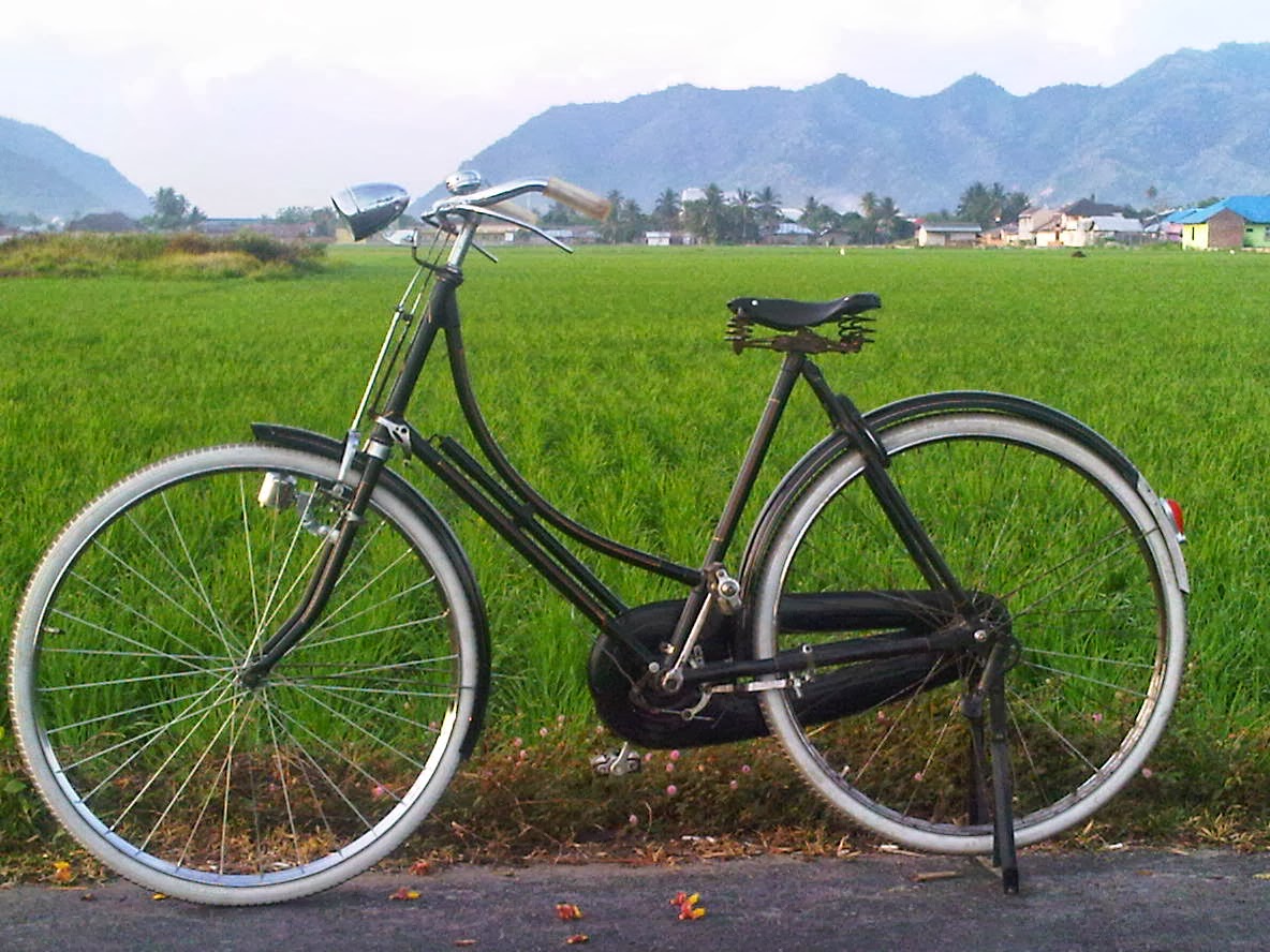 NIAS TANONIHA: Raleigh Sepeda Onthel Yang Mumpuni