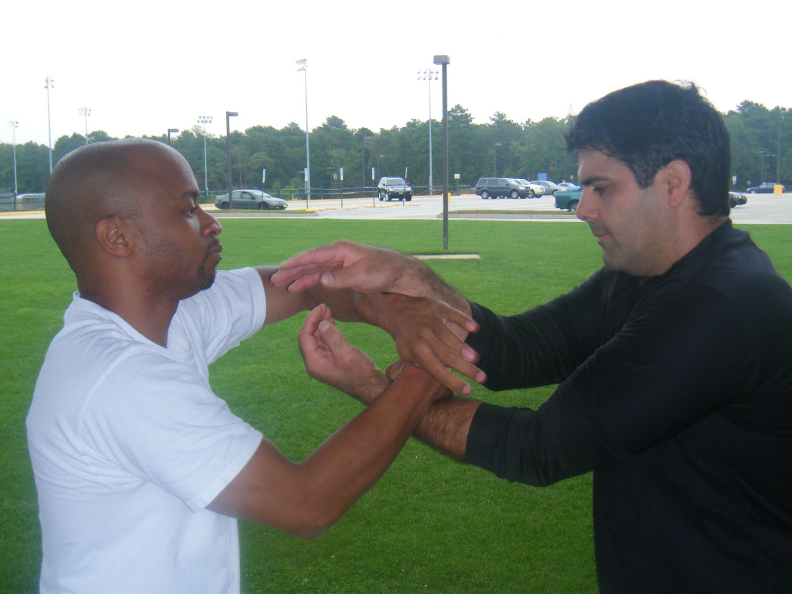 The Path of Ving Tsun (Wing Chun): How to learn Ving Tsun