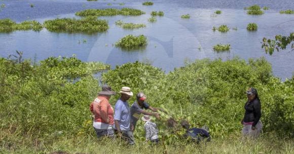 ASOCIACION ECOLOGISTA RIO MOCORETA: UNA NUEVA RESERVA PROTEGIDA EN ...