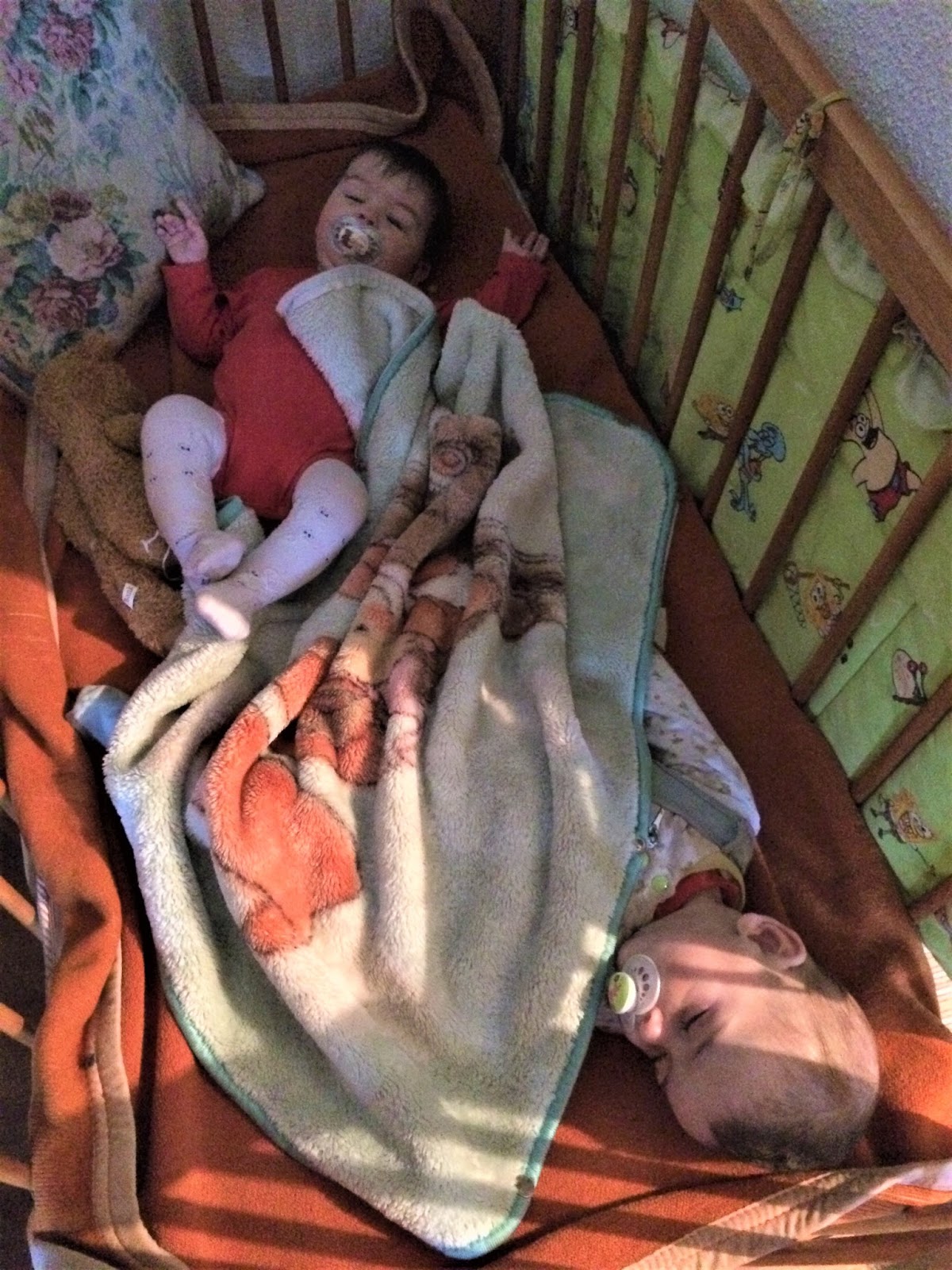 Missionary Moments in the Adriatic North Mission: An Insider's View of ...