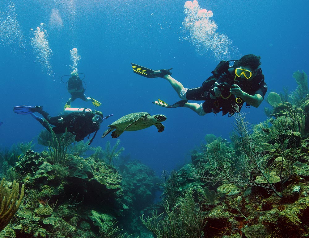 E-Learn to Dive with PADI