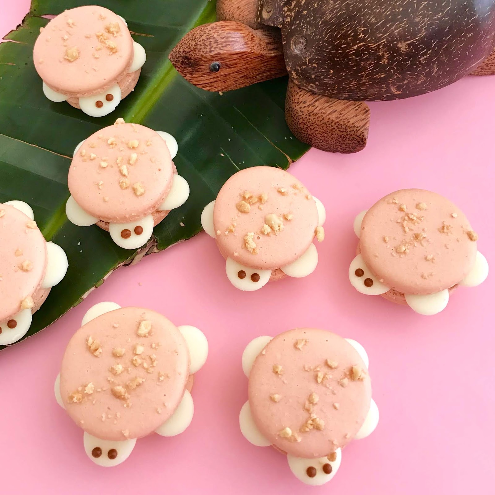 Nutty Turtle Macarons
