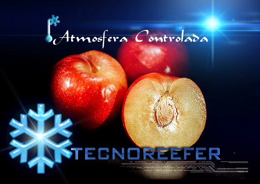 Tecnoreefer Reparaciones: ATMOSFERA CONTROLADA