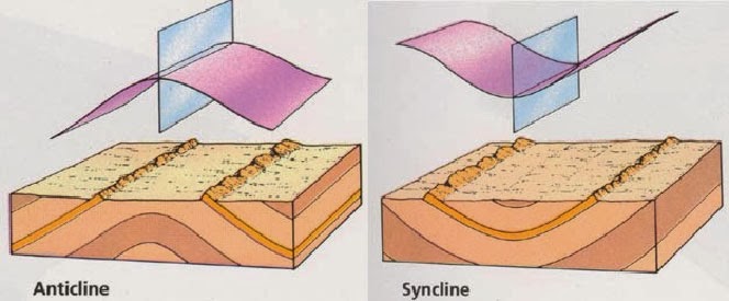 MENGENAL GEOGRAFI: Diastropisme (Tektonisme)