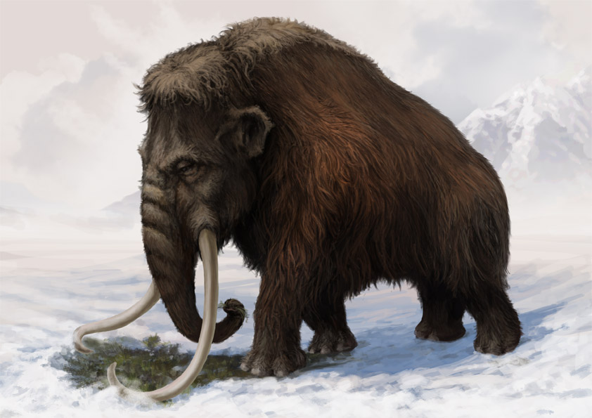 Modèle vivant, dessin de nu, croquis, graphisme et illustration ...