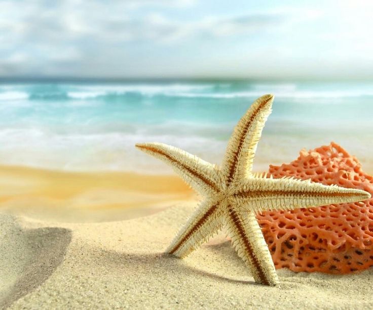 TURISMO: TIPOS DE TURISMO