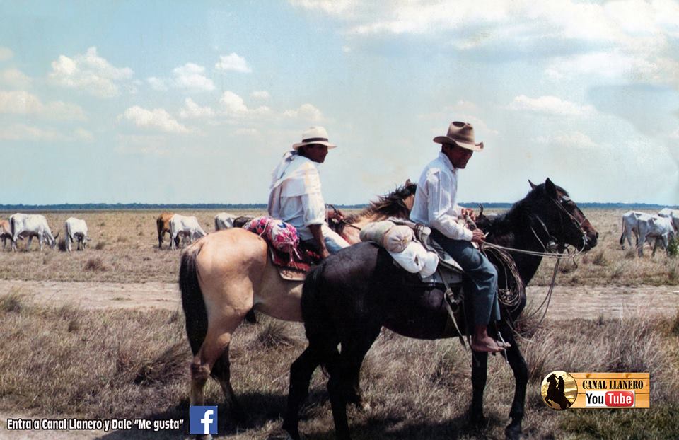 Canal Llanero : De las Vaquerías y los Trabajos de Llano.