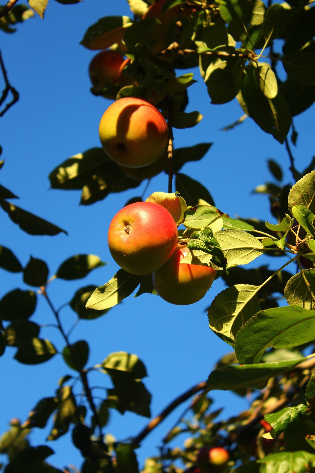 Photo Shoot: Lyndhurst Mansion