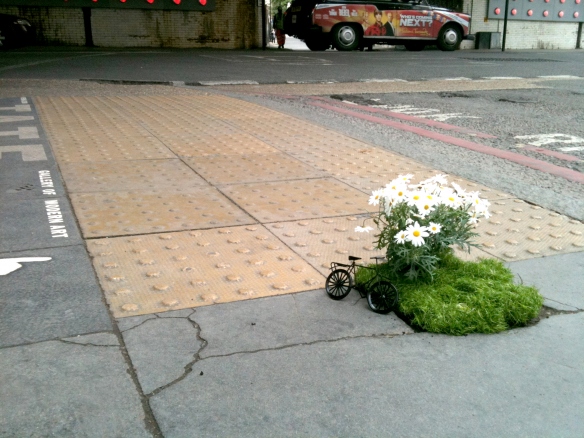 GALLERY O: THE POTHOLE GARDENS OF STEVEN WHEEN