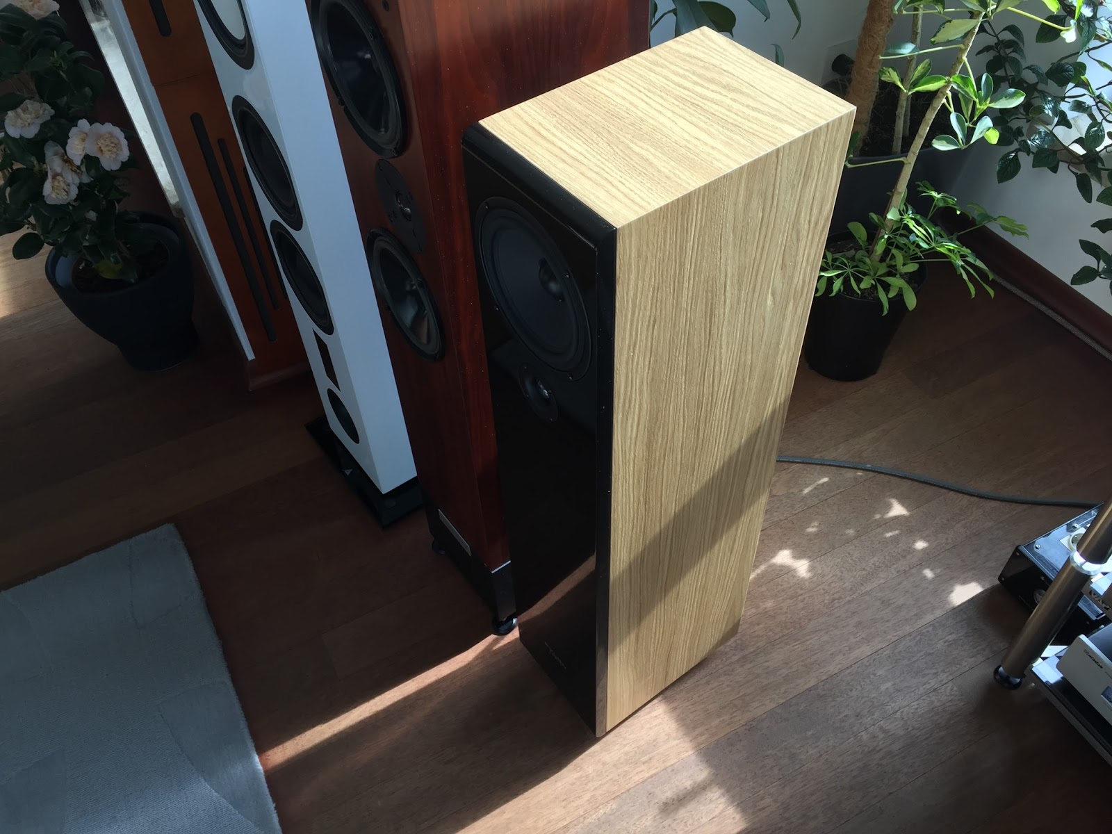 Stereo i Kolorowo - Underground: Kolumny głośnikowe Pylon Opal 20