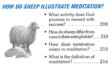 Sheep Understanding Animal Research Understanding