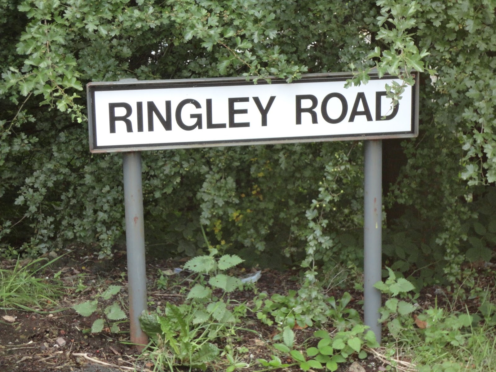 Canada, Cruising and Catching Up