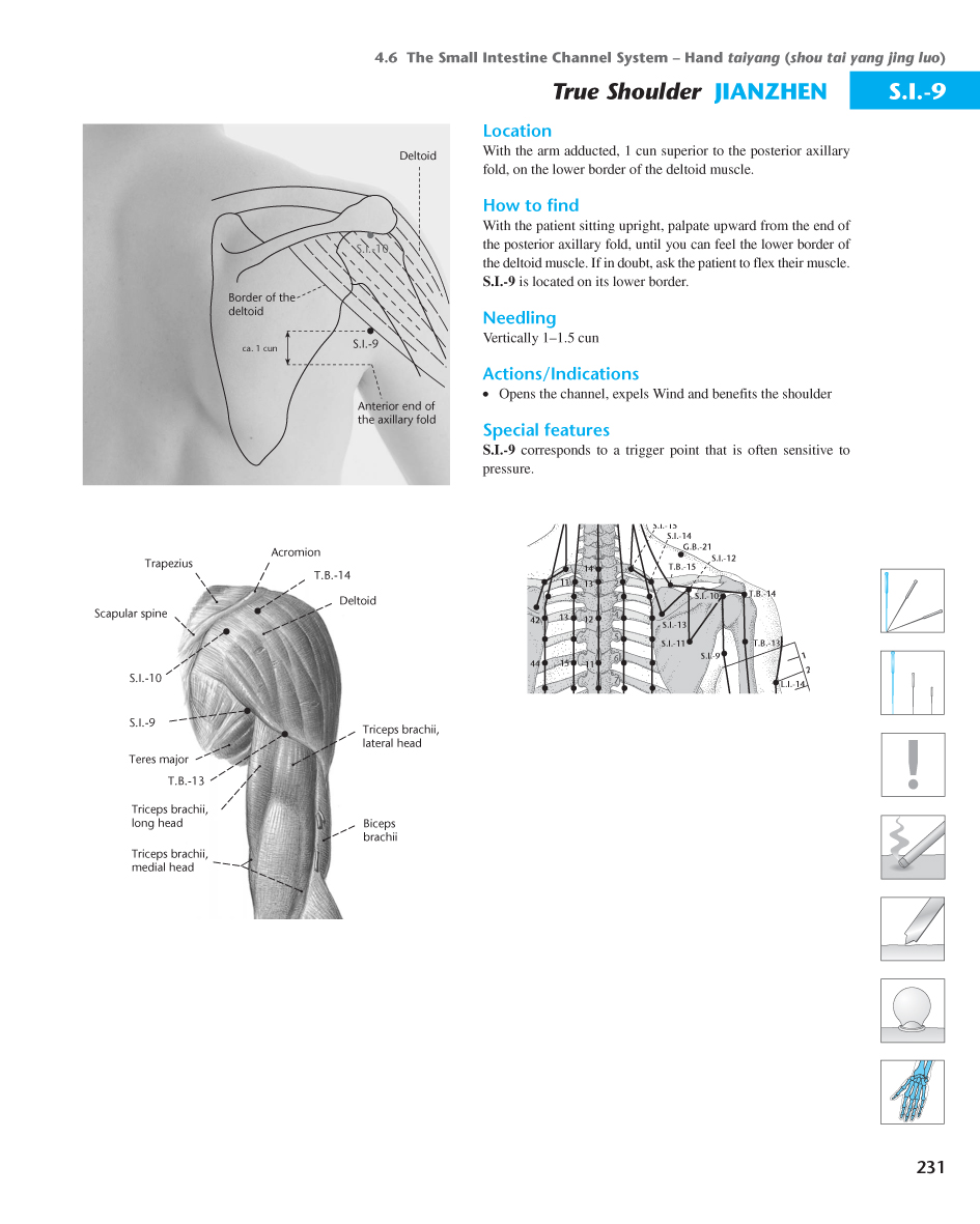 Acupuncture Masters: Acupuncture Points Database - Small Intestine Channel