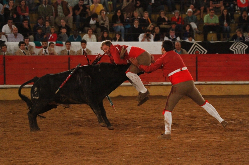 Diário Taurino: Tomar: Os forcados (C/Fotos)