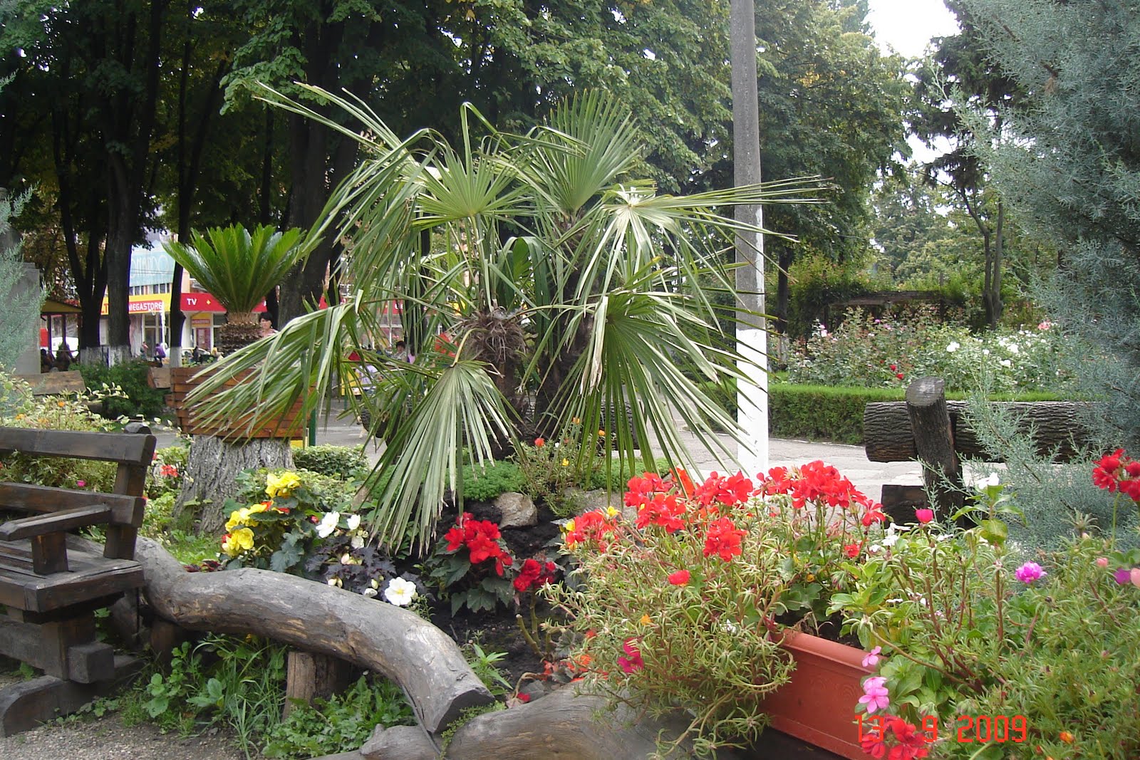 Asigura-te ca esti fericit!: Parcul din Tecuci