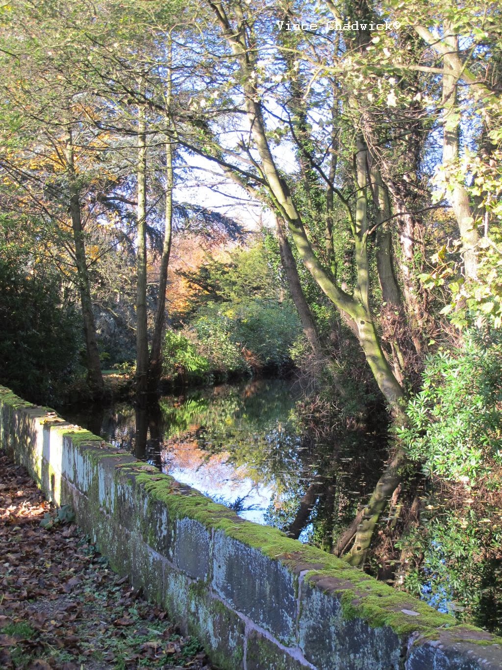 Vince's World: The millwrights return to Nether Alderley Mill