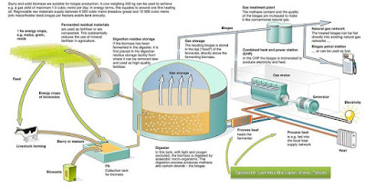 Biogas production from Vietnamese animal manure, plant residues and ...