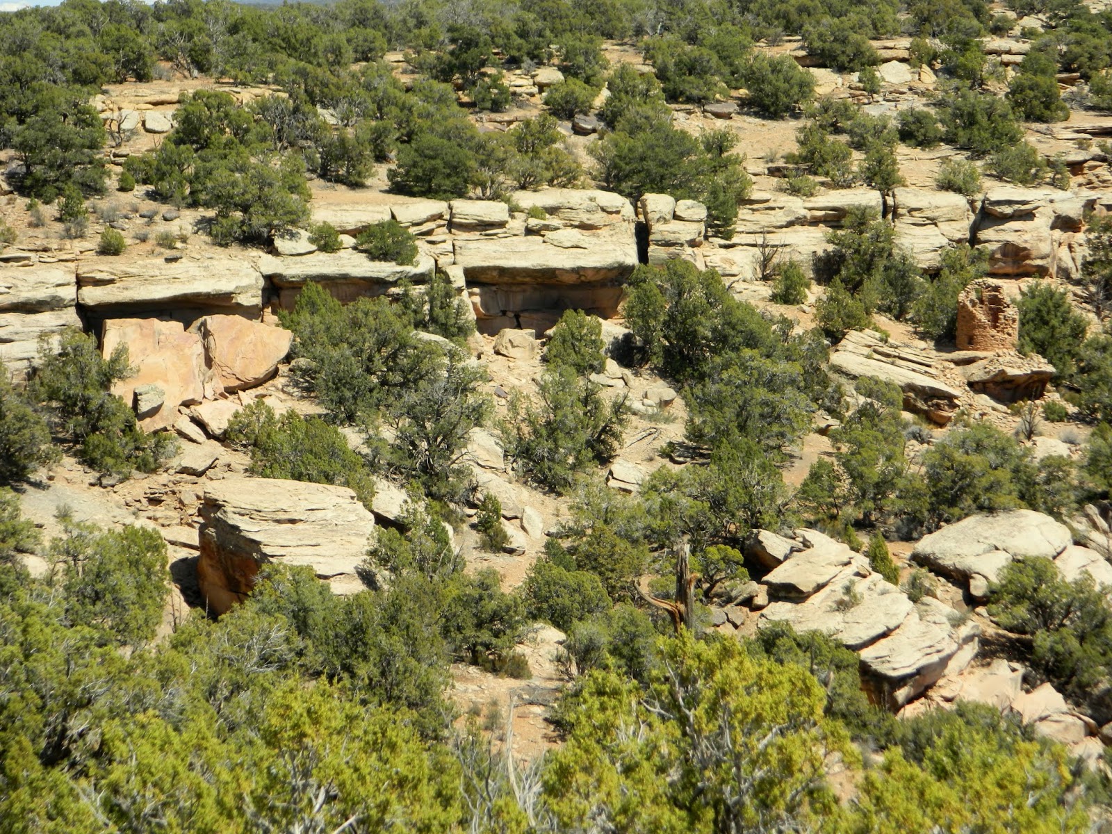 CSMS GEOLOGY POST: ANCESTRAL PUEBLOANS AND GEOLOGY